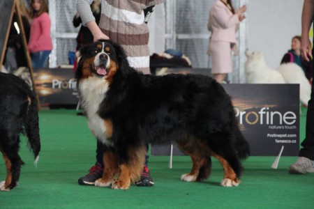 litter "C2" :: Codeli