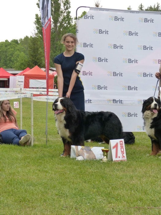 litter "w" :: Codeli