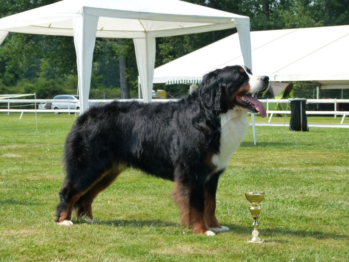 litter "K" :: Codeli