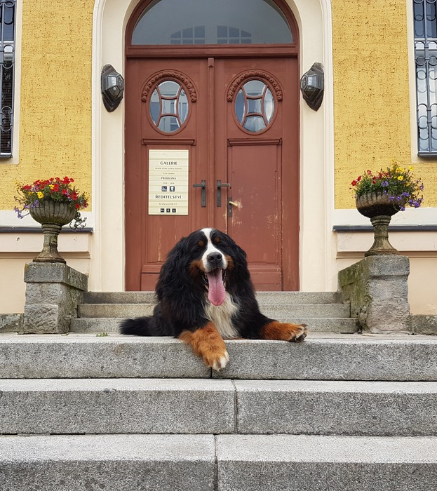 ICh. Kenn Codeli Girls :: Codeli