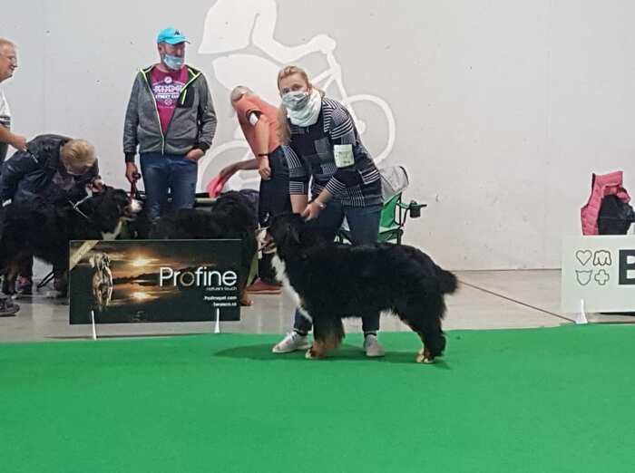 X-Beauty Codeli Girls :: Codeli