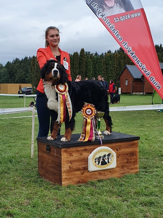 Naše feny / our females :: Codeli