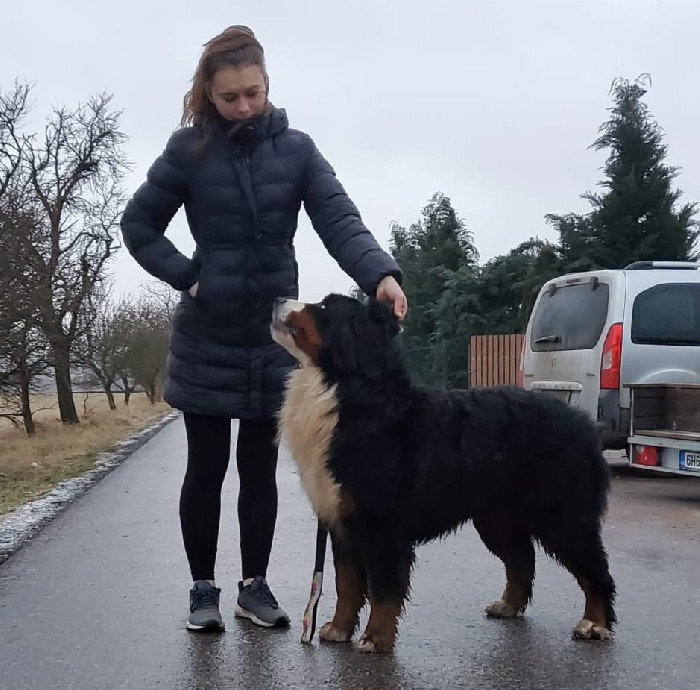 Farlow Codeli Girls :: Codeli