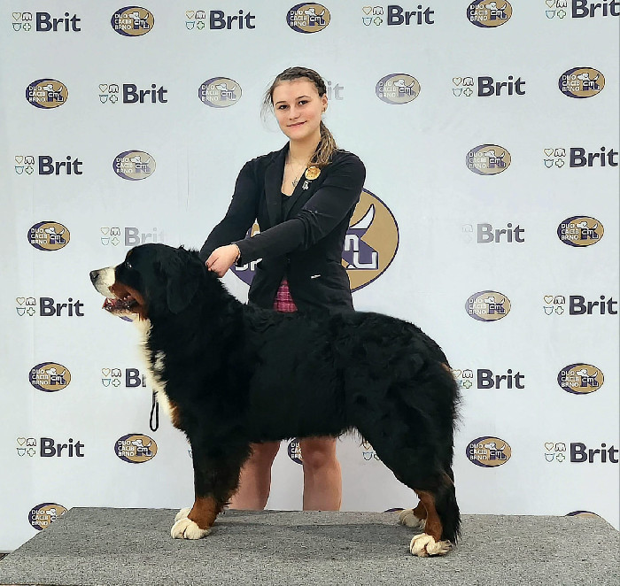 Hennesy Codeli Girls :: Codeli