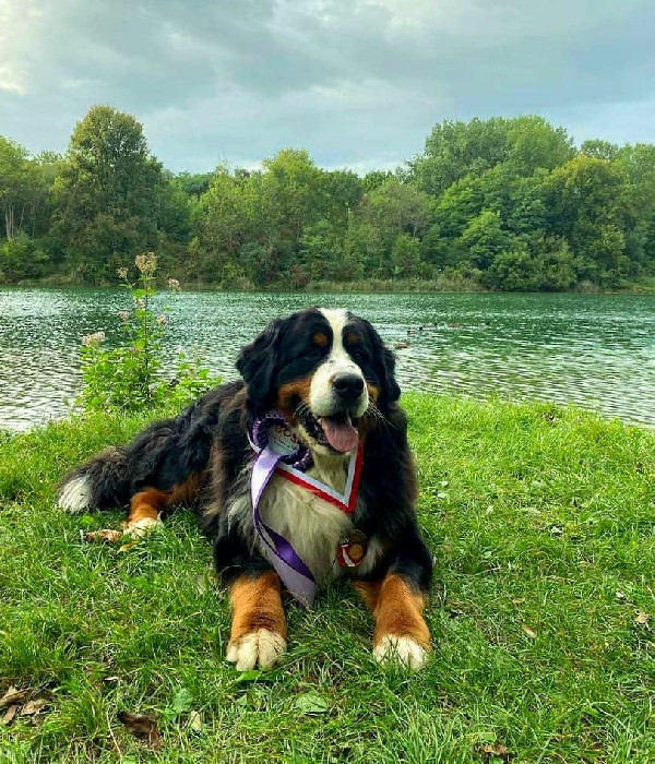 John Deere Codeli Girls :: Codeli