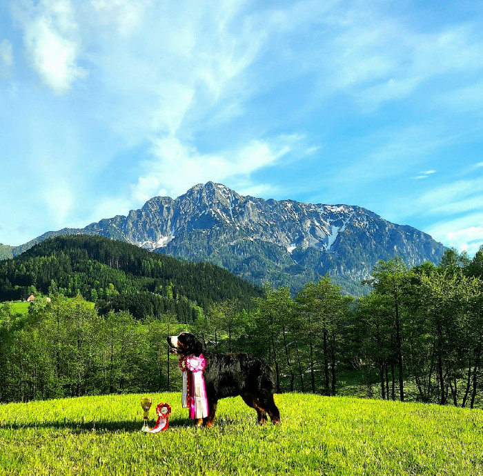 Legend Indian Fire Codeli Girls :: Codeli